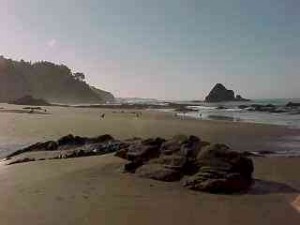 Anchor Bay Beach - Anchor Bay Campground